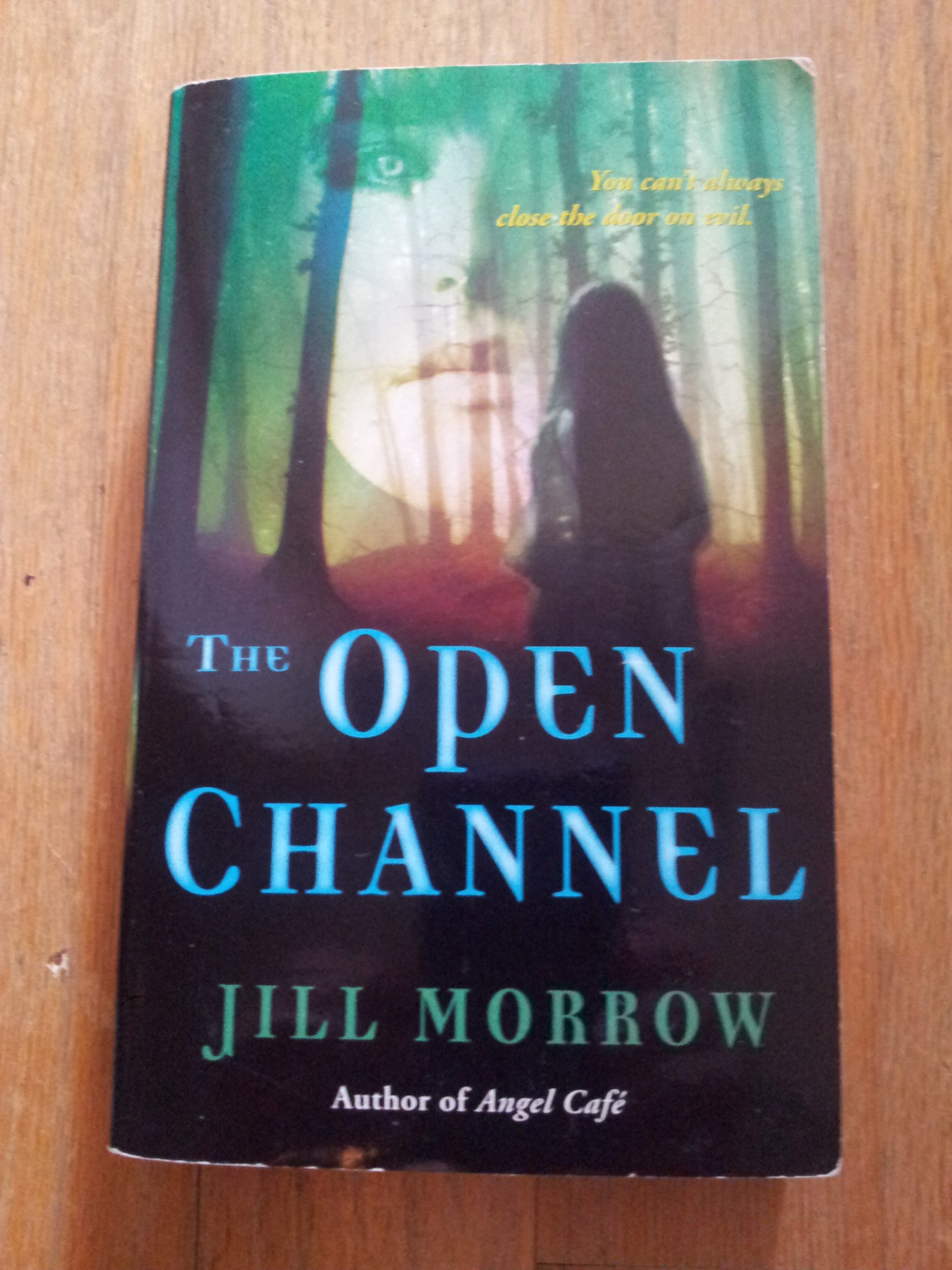 Of Course Book Covers Matter – Welcome | The Novels of Jill Morrow, Author